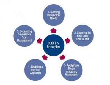 Principles of COBIT®: A Complete Guide Tutorial | CHECK-OUT