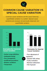 Common Cause Vs Special Cause [ Variation ]: Which is better? | Updated ...