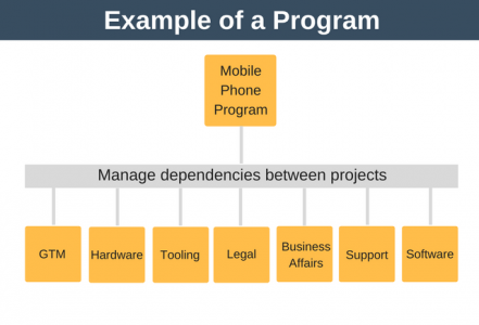Projects VS Programs: Difference You Should Know | Updated 2025
