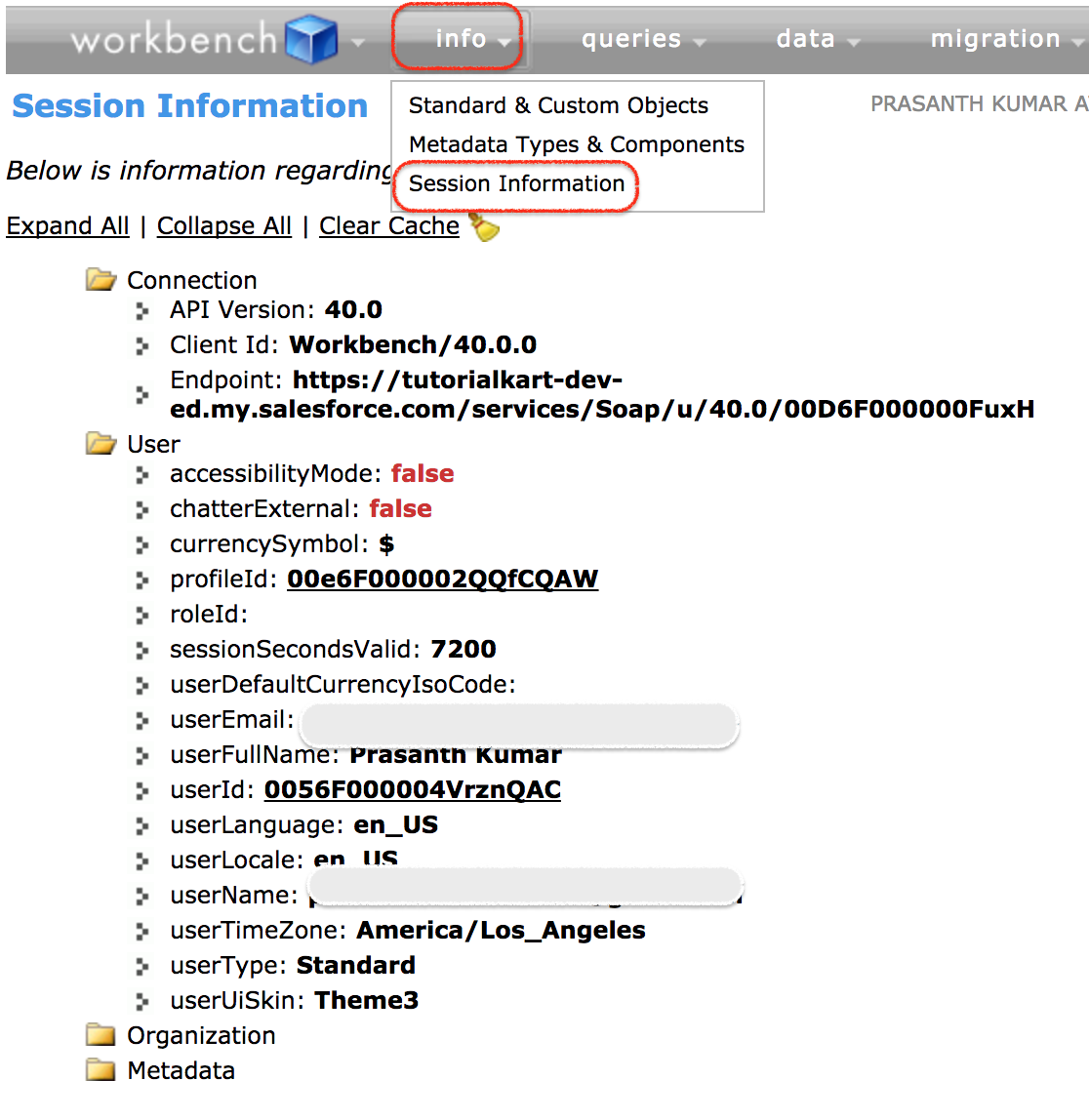 Salesforce Workbench Tutorial Learning Path Complete Guide Step In Updated 2025