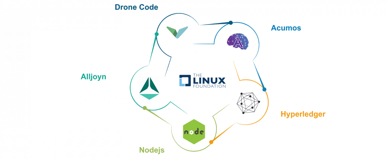 Hyperledger: The Complete Guide Tutorial | CHECK-OUT | Updated 2025