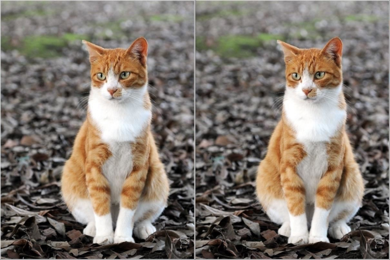 Steganography: The Complete Guide Tutorial | CHECK-OUT | Updated 2025