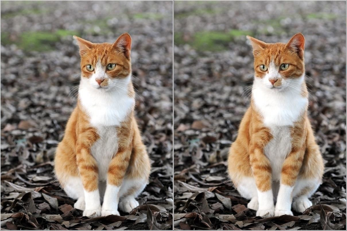 Steganography: The Complete Guide Tutorial | CHECK-OUT | Updated 2025