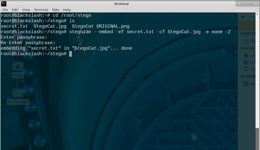 Steganography: The Complete Guide Tutorial | CHECK-OUT | Updated 2025
