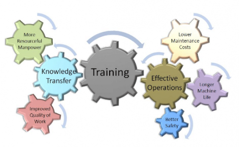 Stages of Team Development | Everything You Need to Know | Updated 2025