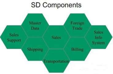 SAP SD (Sales & Distribution) Training Tutorial | For Beginners Learn ...