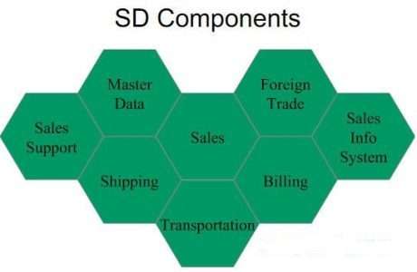 SAP SD (Sales & Distribution) Training Tutorial | For Beginners Learn ...