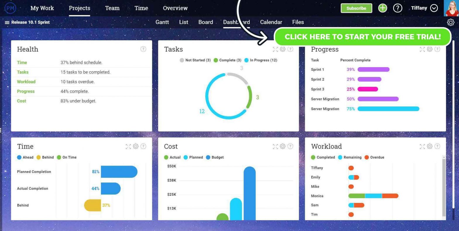 Project Management Success Criteria Tutorial | Understand and Know More ...