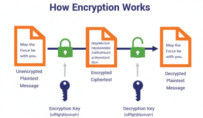Hashing vs. Encryption: Key Differences and Use Cases Explained ...