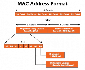 MAC Addresses: Functions, Risks, and Management | Updated 2025