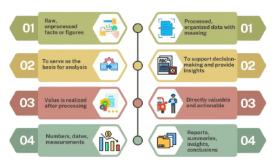 Data vs Information Key Differences Explained | Updated 2025