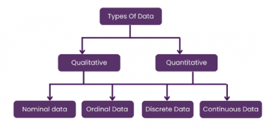 Data vs Information Key Differences Explained | Updated 2025