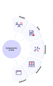 MIS Reports in Excel : How to Create Effectively | Updated 2026