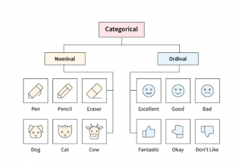 What Is Nominal Data Overview and Key Uses | Updated 2025
