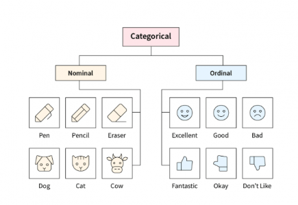 What Is Nominal Data Overview and Key Uses | Updated 2026