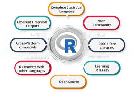 Top Programming Languages To Learn For Data Science | Updated 2025