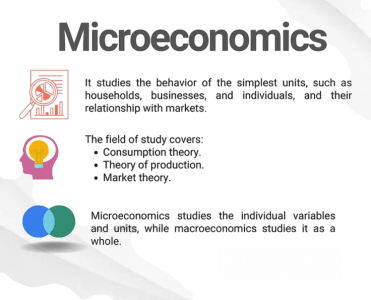 Macroeconomics vs Microeconomics: Simple Breakdown | Updated 2025