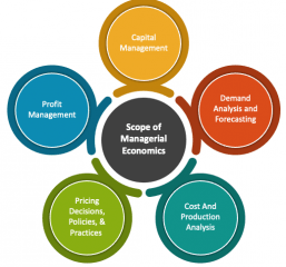 Managerial Economics Principles and Practices | Updated 2026