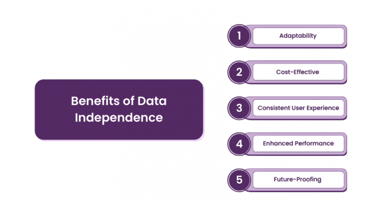 Complete Guide To Data Independence In DBMS | Updated 2025