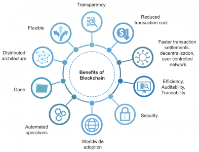 Top Blockchain Programming Languages Guide | Updated 2025