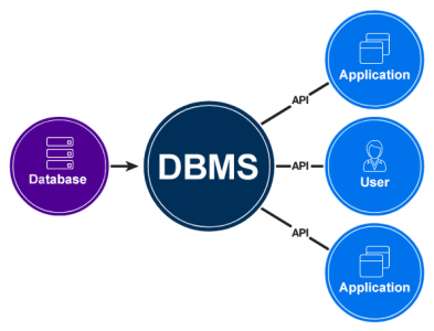 Comparing DBMS and RDBMS: What You Need to Know | Updated 2025