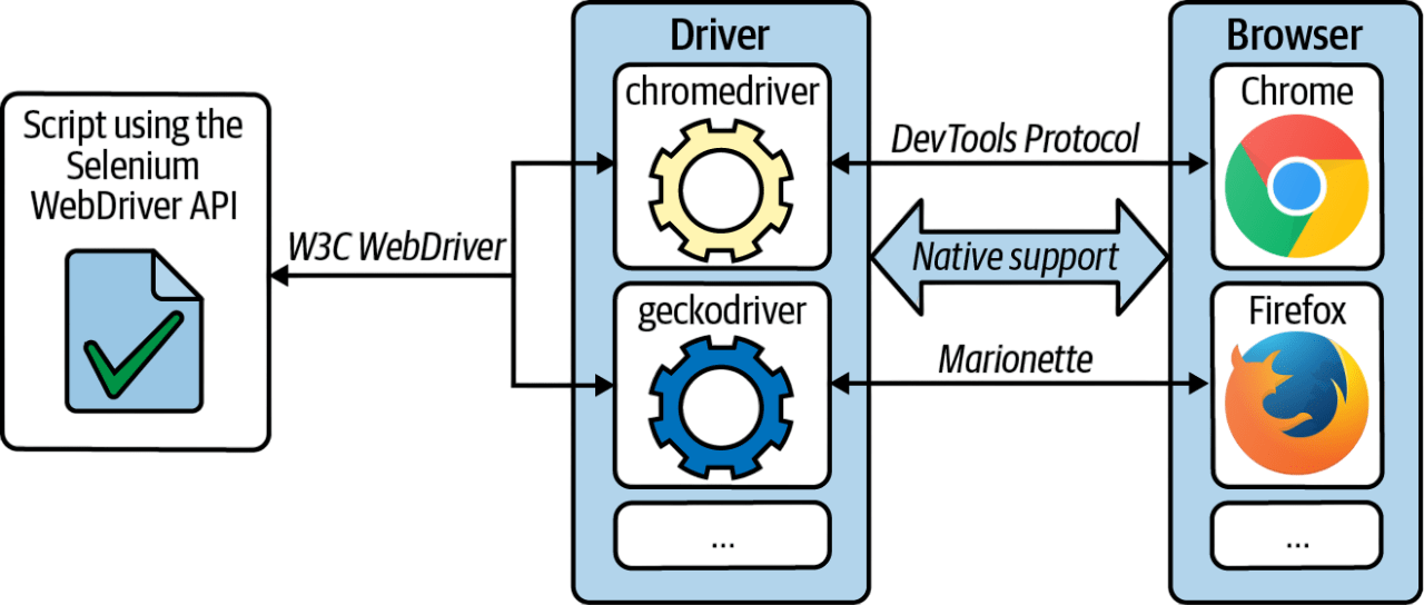 Expert Guide to Using ChromeDriver in Selenium | Updated 2025