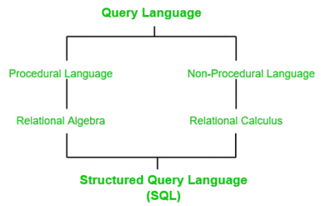 Comparing DBMS and RDBMS: What You Need to Know | Updated 2025