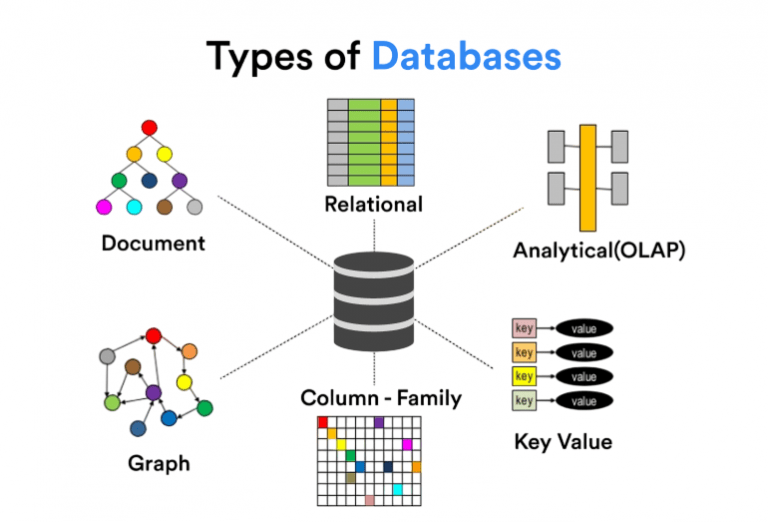Learn What a Database Is and How It Finds Data | Updated 2025