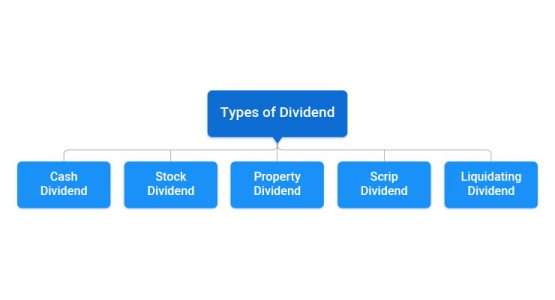 Introduction To Dividends In The Stock Market | Updated 2025