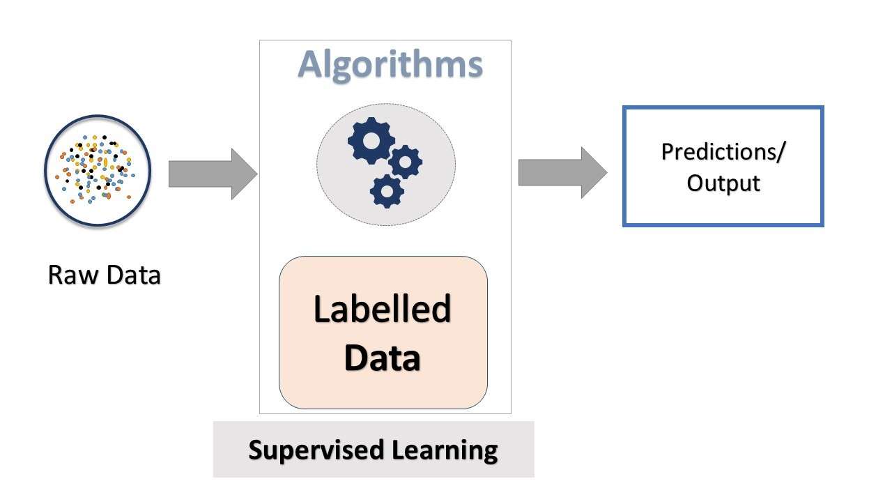 Supervised, Unsupervised And Reinforcement Learn | Updated 2025