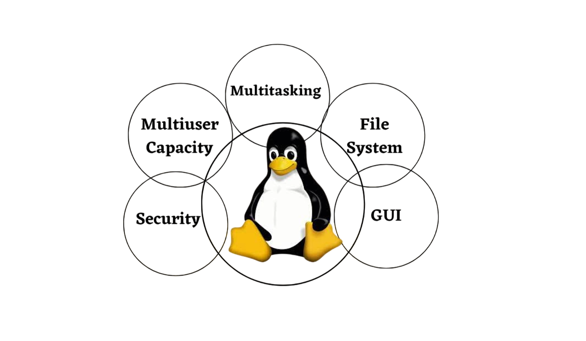 Linux Operating System: Multitasking And Features | Updated 2025