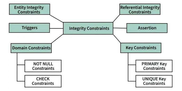 Entity in DBMS: Types, Integrity & Design Importance | Updated 2025